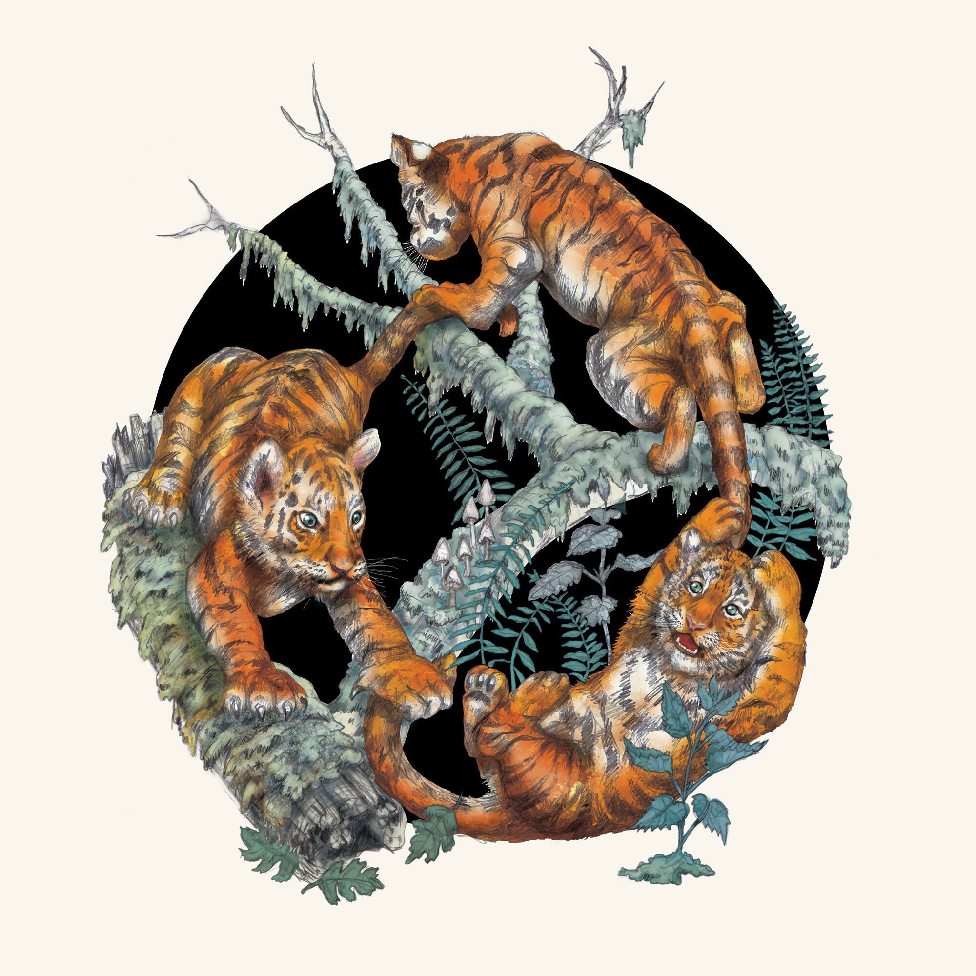 Tiger Tails - Mounted Giclee Print – Scottish Design Exchange