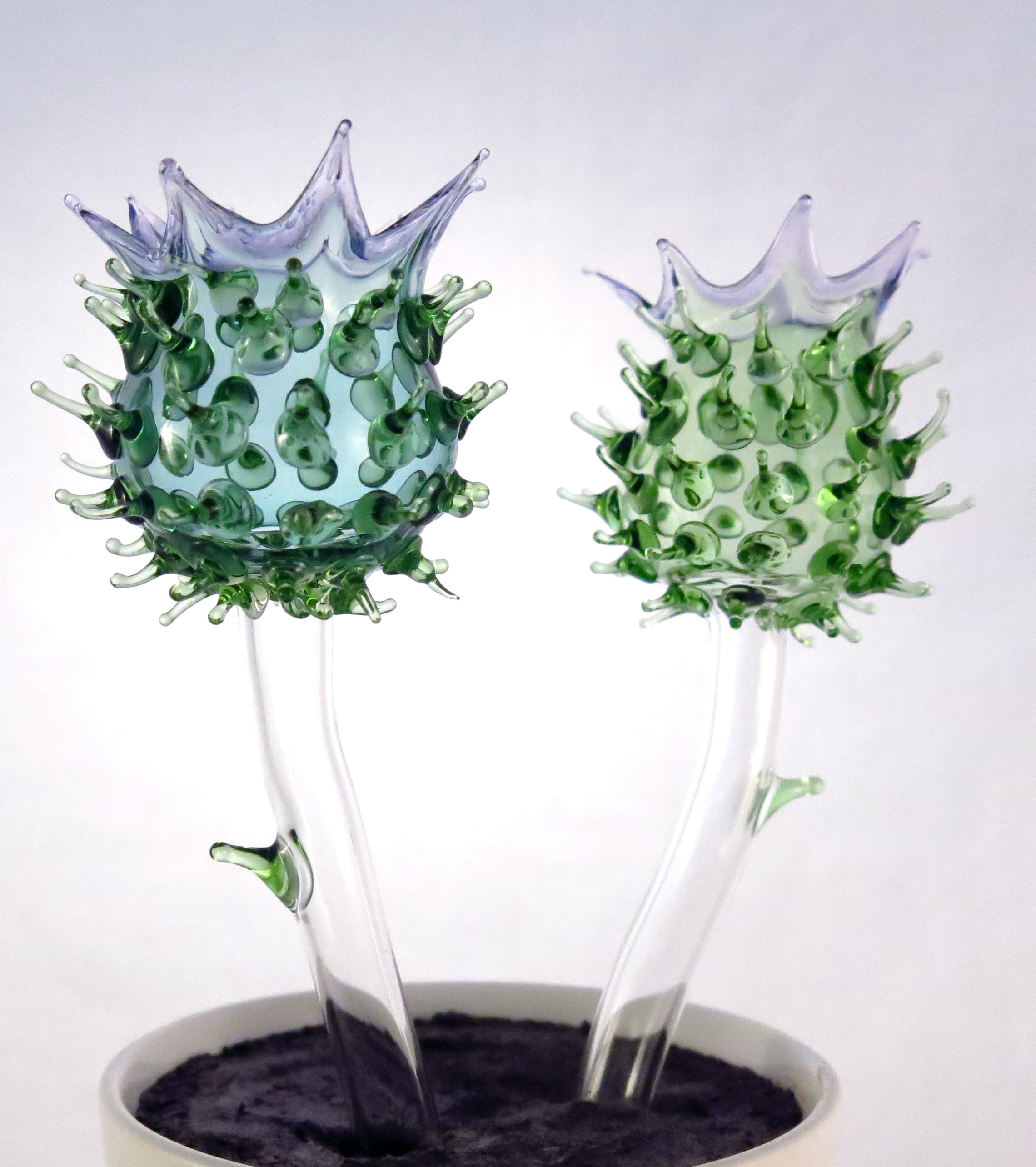 Scottish Glass Thistle Watering Pipe – Scottish Design Exchange