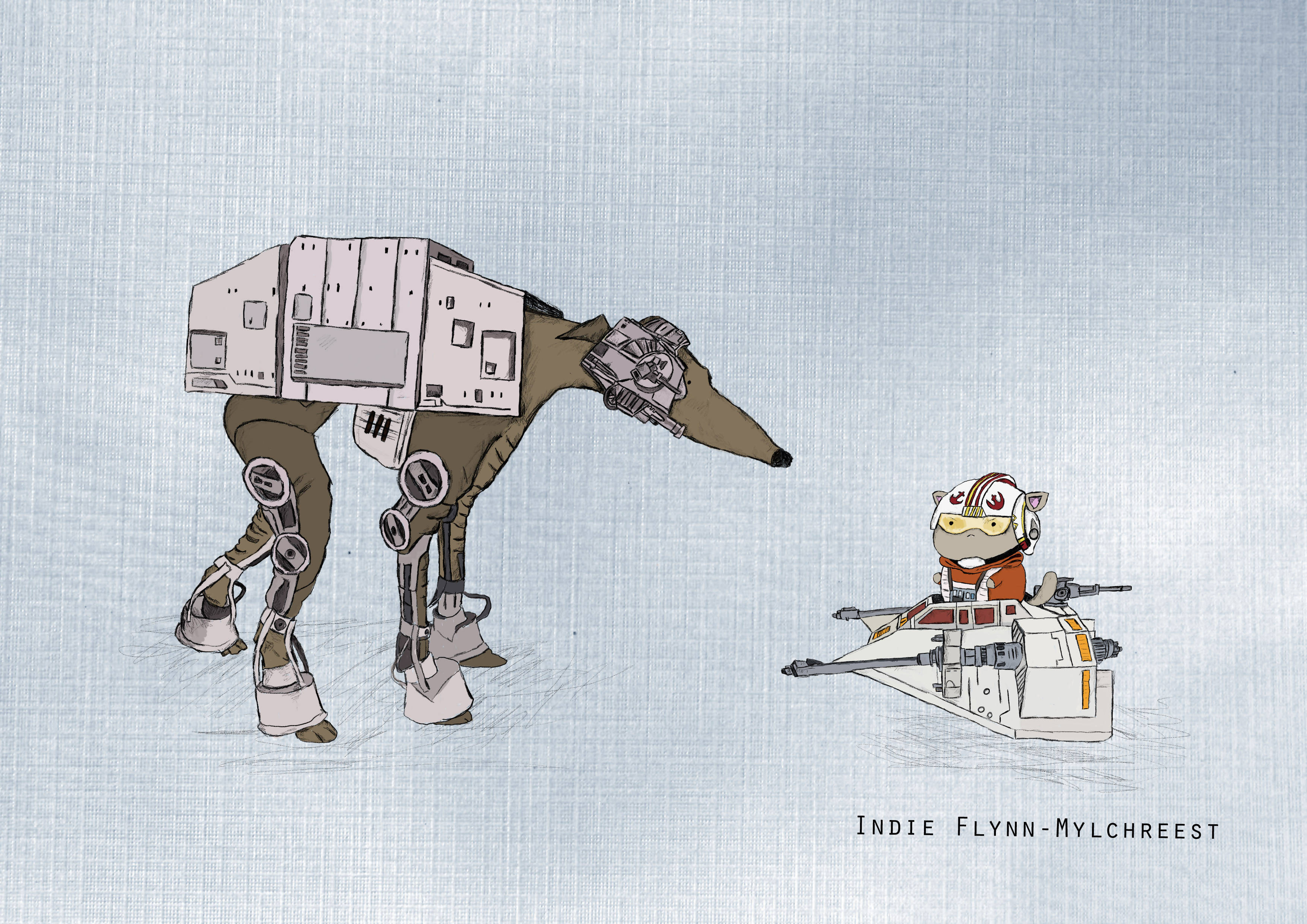 Star Paws (1) Art Print – Scottish Design Exchange