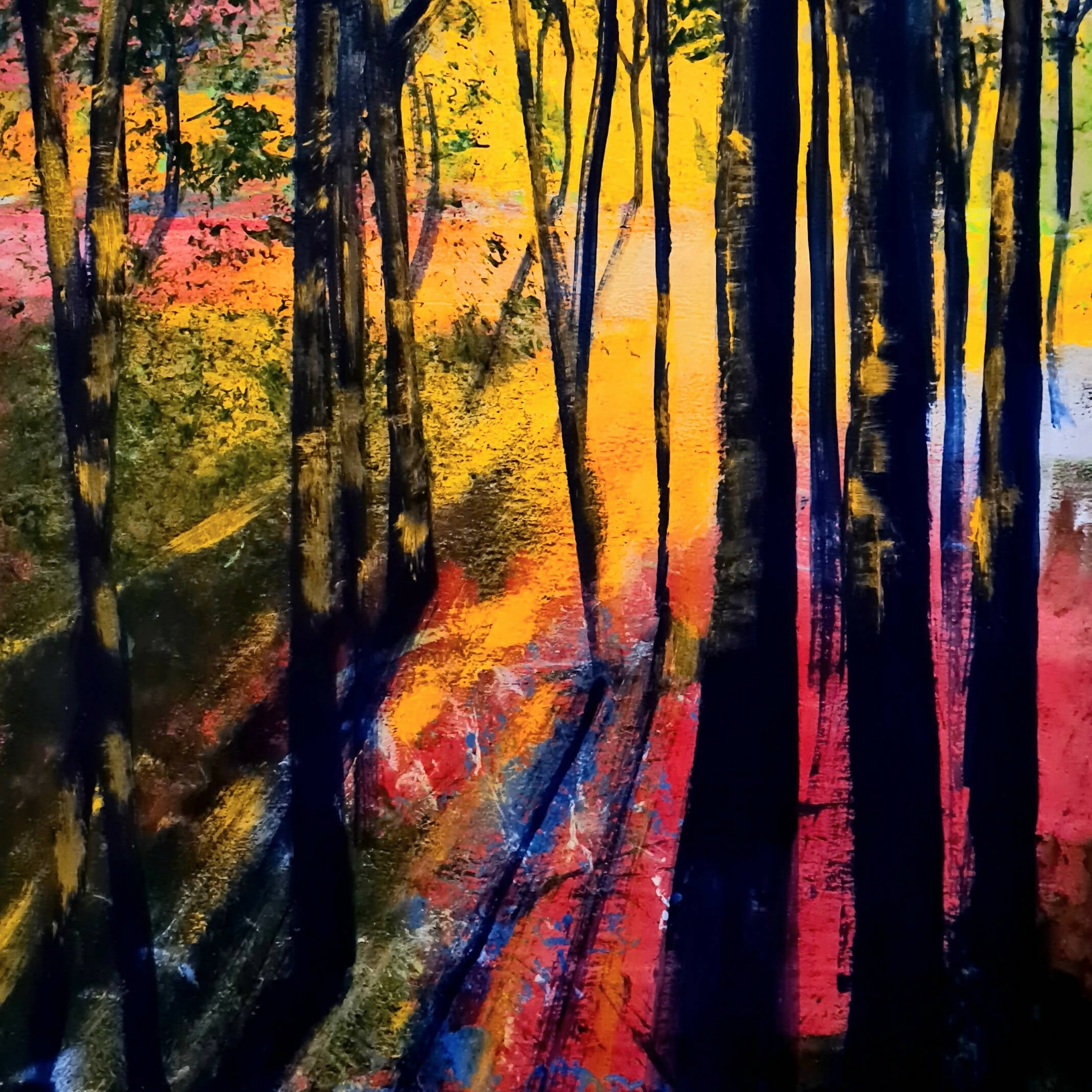 Sunlight Through Trees – Scottish Design Exchange